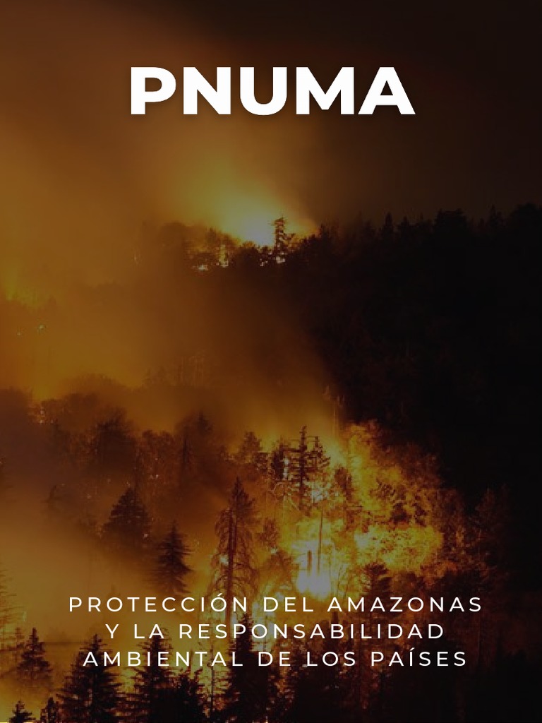 PNUMA. CLPMUN 2023 | PDF | Deforestación | Contaminación
