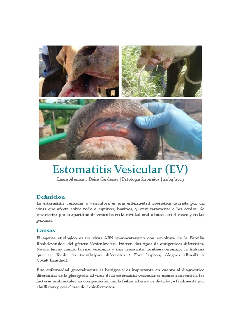 Copia de Estomatitis Vesicular | PDF | Ciencias de la Salud ...