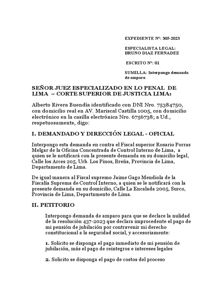 DEMANDA DE AMPARO | PDF | Demanda judicial | Jubilación