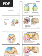 Anatomia de La Region Selar | PDF | Glándula pituitaria | Hipotálamo