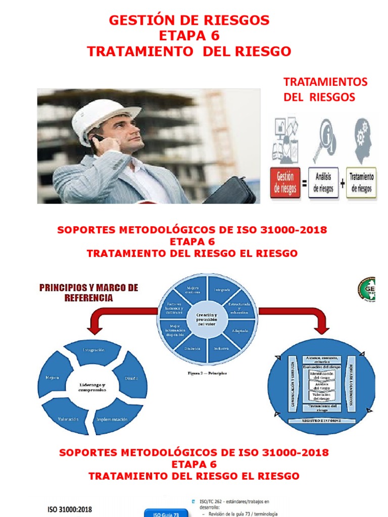 Tema 9 Etapa 5 Tratamiento Del Riesgo | PDF | Riesgo