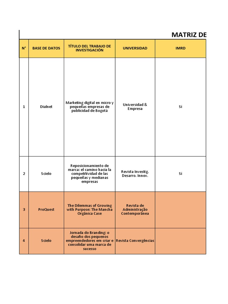 Formato para La Matriz de Base de Datos | PDF | Marca | Gestión de la marca