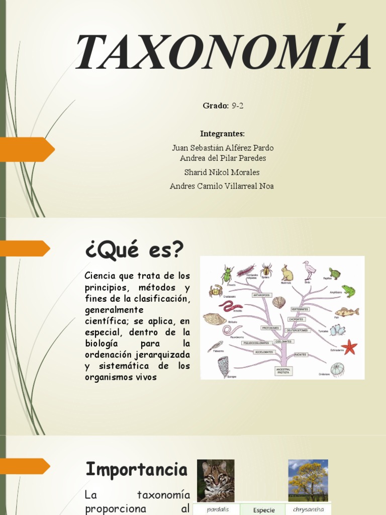 TAXONOMIA | PDF | Ciencia y matemáticas