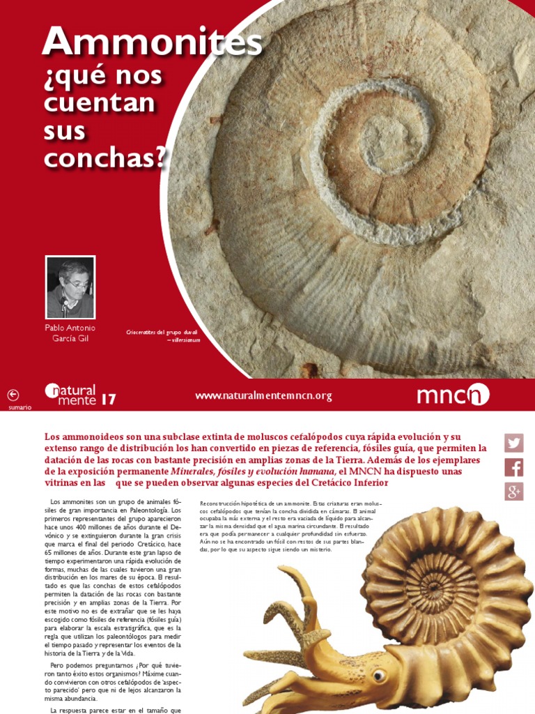 nm17 07 Ammonites | PDF | Fósil | Cretáceo