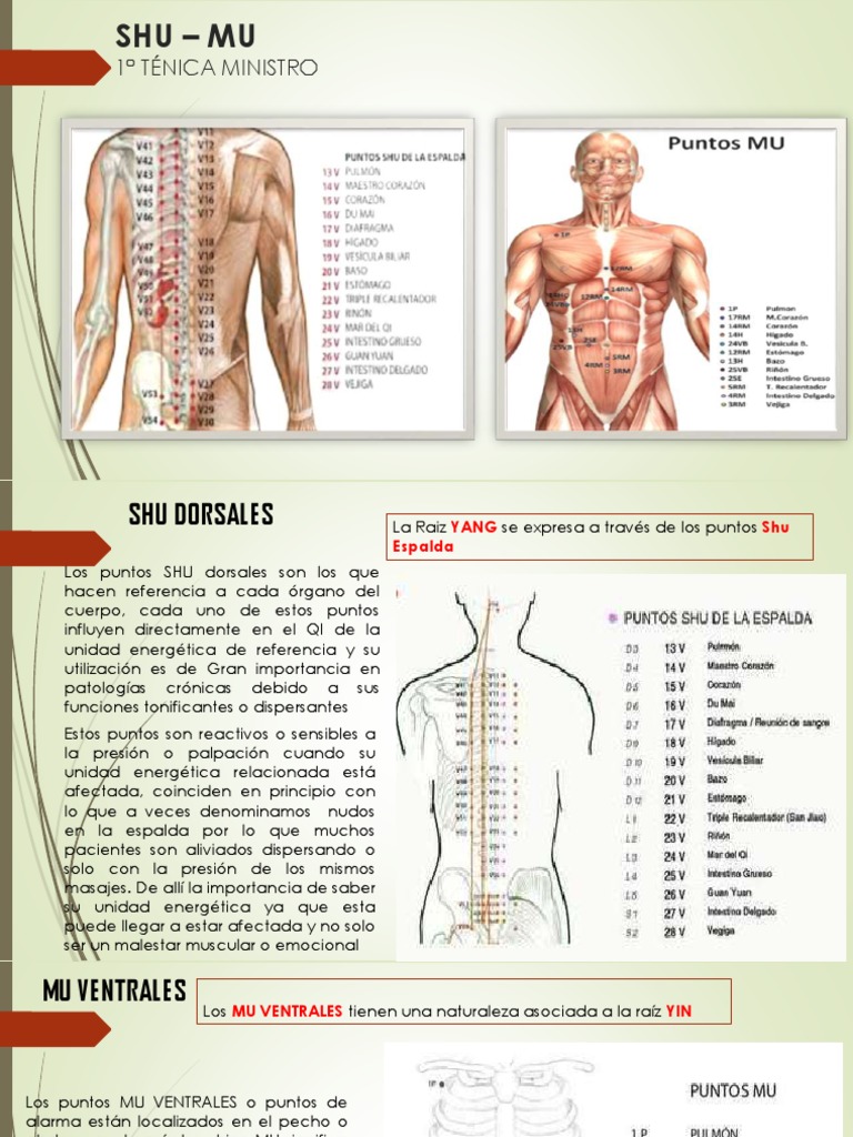 Puntos Shu y Mu en Acupuntura Espalda | PDF | Medicina | Enfermedades y ...