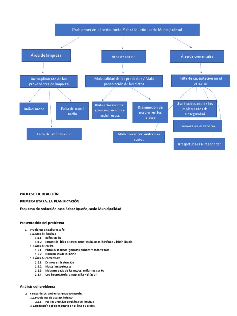 Mapa conceptual y esquema de redacción para un informe de recomendación | PDF | Higiene