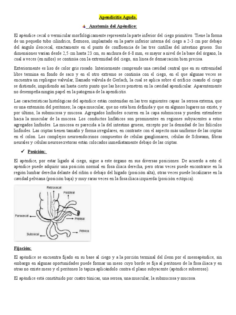 Apendicitis Aguda: Anatomía y Etiología | PDF | El embarazo | Intestino ...