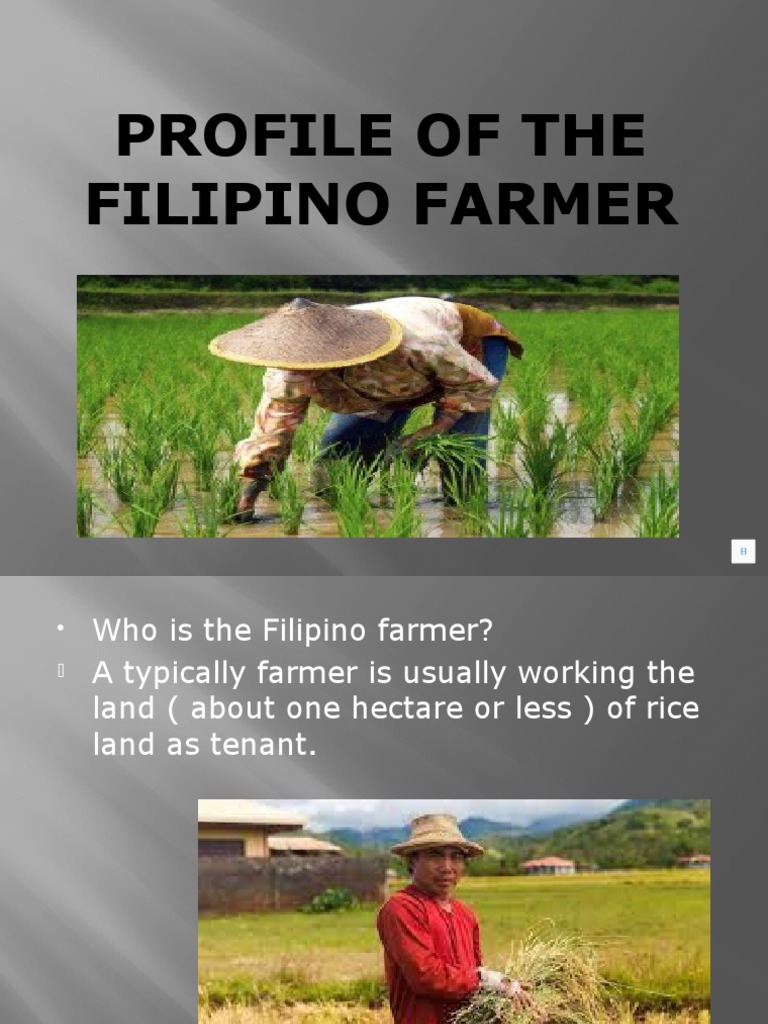 Profile of The Filipino Farmer | PDF