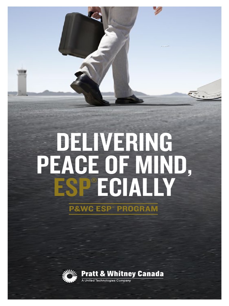 ESP (R) Marketing Brochure | PDF | Credit Card | Payments