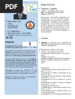 Formato Único Hoja de Vida SIGEP II | PDF