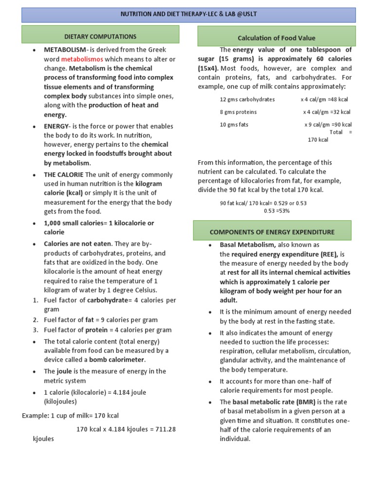 Calculating Calorie and Nutrient Needs: Understanding Basal Metabolic ...