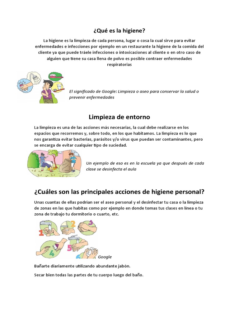 Qué Es La Higiene | PDF
