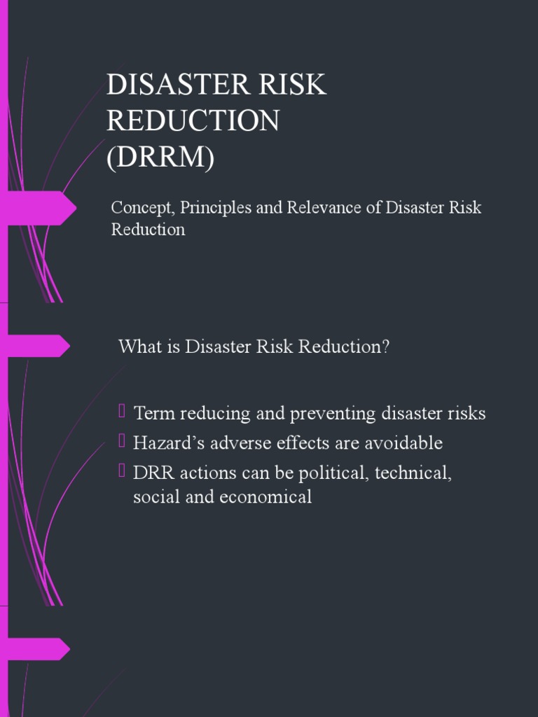 Disaster Risk Reduction Guide | PDF