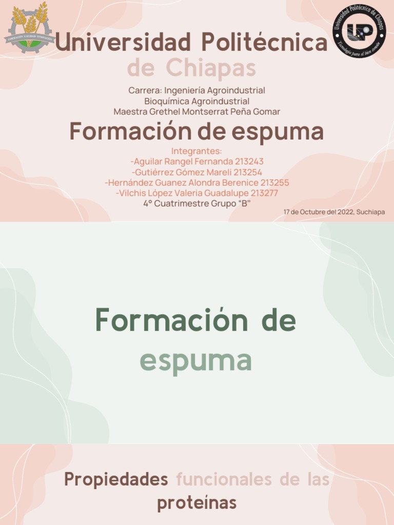 Exposición C2 - Formación de Espuma | PDF | Espuma | Líquidos