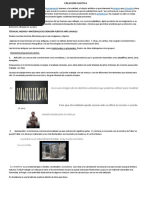 Guía para modelar barro y arcilla | PDF | Barro | Escultura