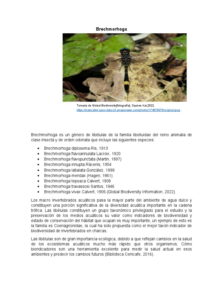 Hidrobiología Carla | PDF | Organismos | Ciencias de la Tierra