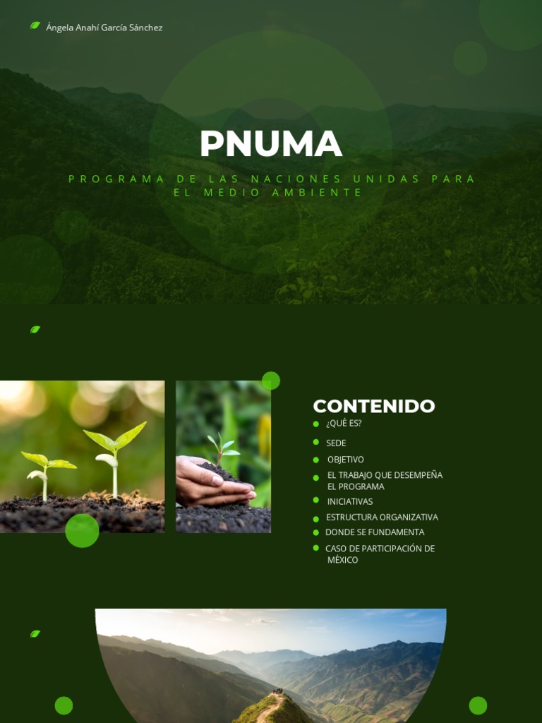 PNUMA Programa de Las Naciones Unidas para El Medio Ambiente | PDF ...