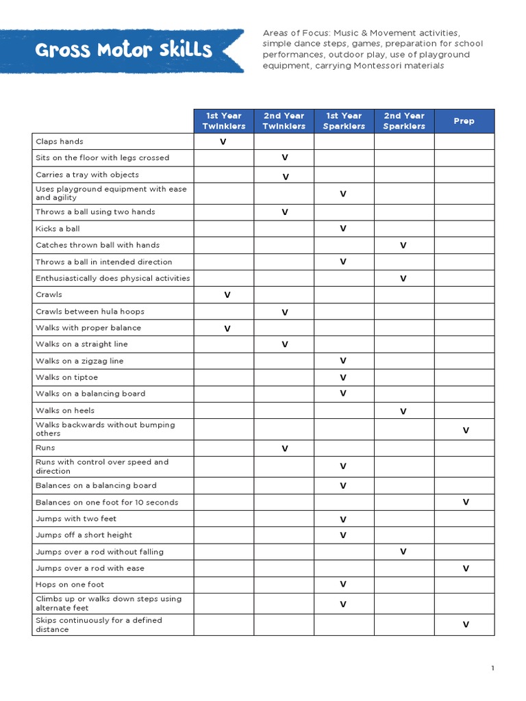 Individual Montessori Checklist Guide PDF | PDF