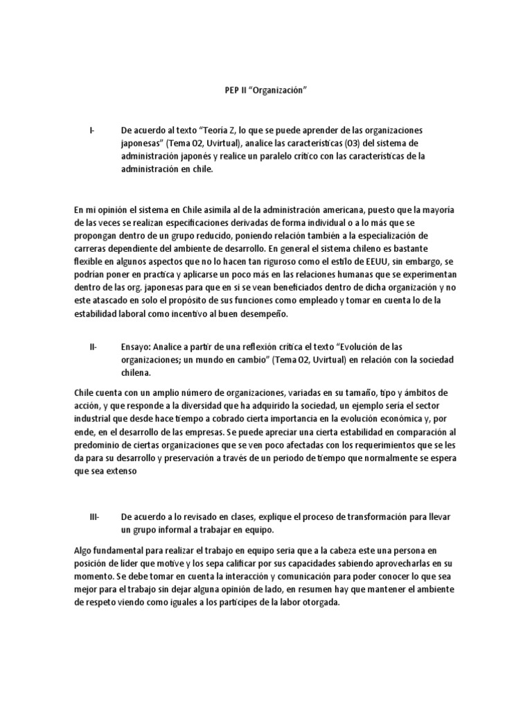 PEP 2 Administración TDI | PDF