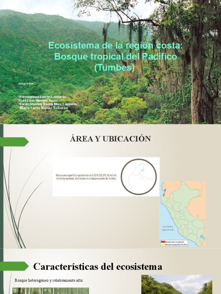 Ecosistema de La Región Costa | PDF | Tecnología