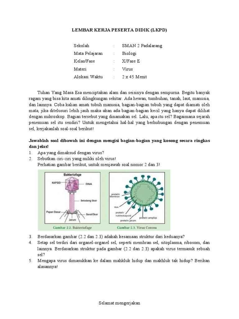 LKPD Virus | PDF