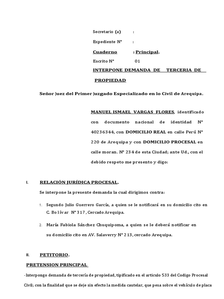 Demanda de Terceria Corregido PDF | PDF | Demanda judicial | Propiedad