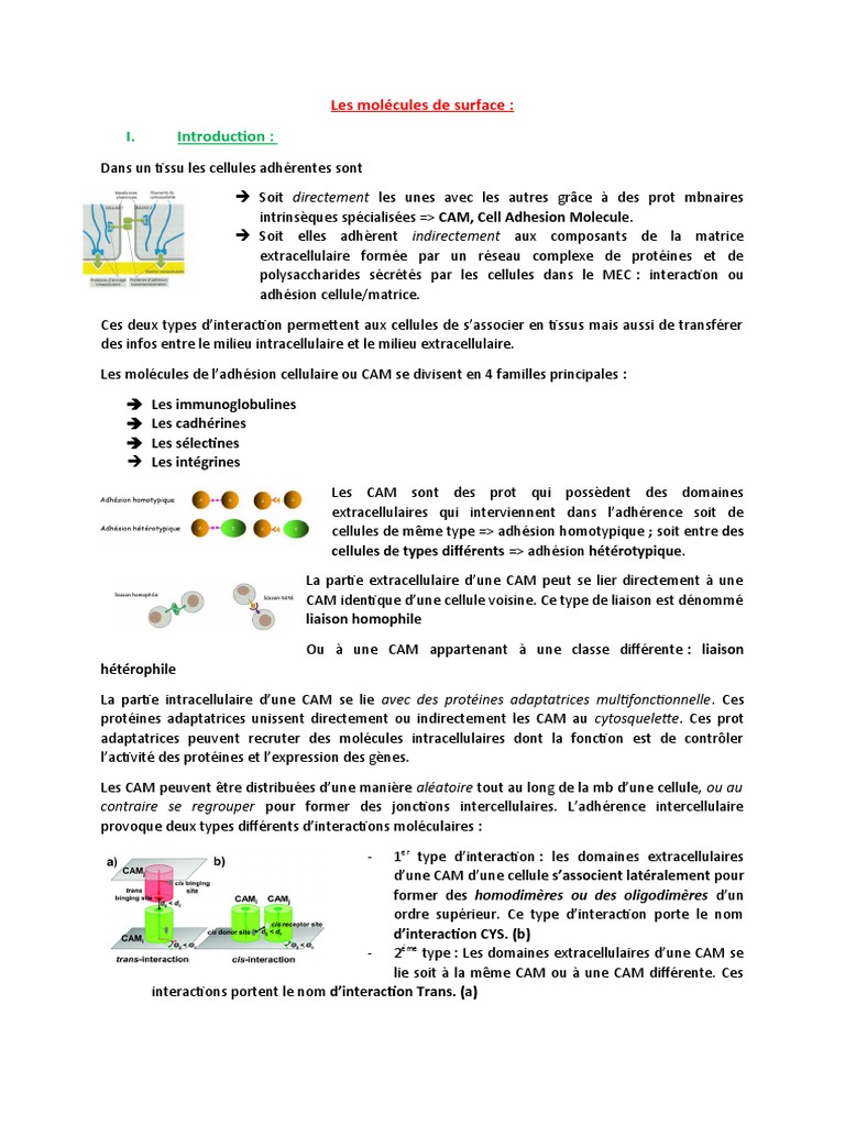 Molécules d'adhésion cellulaire | PDF | Intégrine | Membrane cellulaire