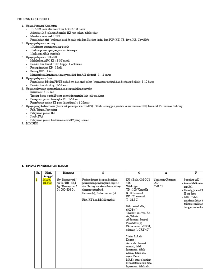 Borang Isip PKM Sarudu 1 | PDF