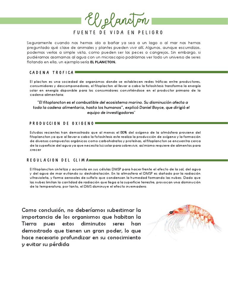 El Plancton | PDF