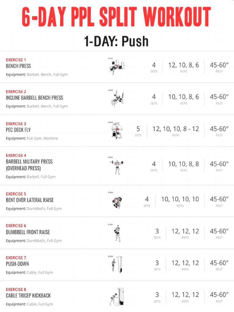 6 Day PPL Workout PDF | PDF