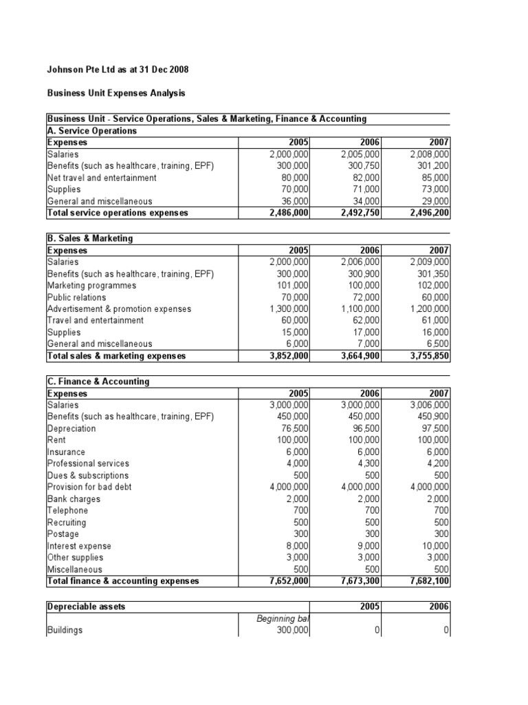 Johnson Pte Ltd Expense Overview 2008 | PDF | Balance Sheet | Investing