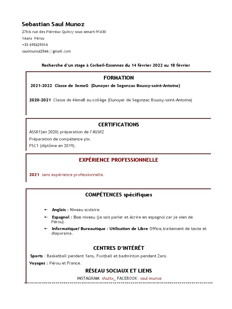 CV Sebastian Munoz 2021.odt | PDF