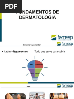 Tipos de Lesões Elementares da Pele | PDF | Dor | Inflamação