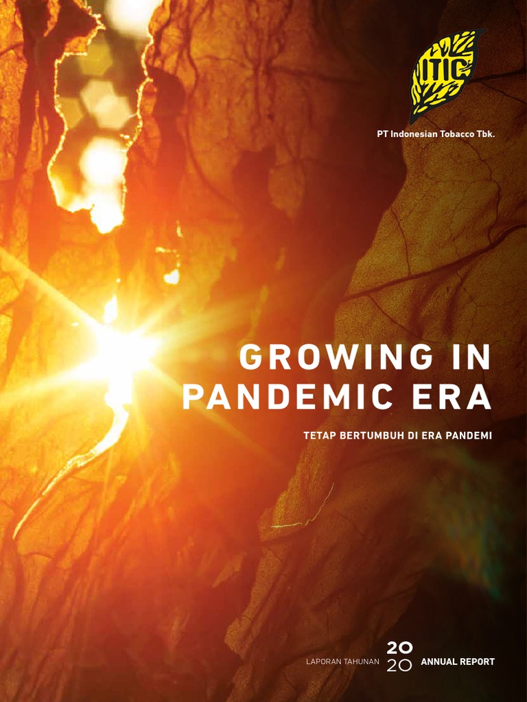 ITIC - Annual Report 2020 | PDF