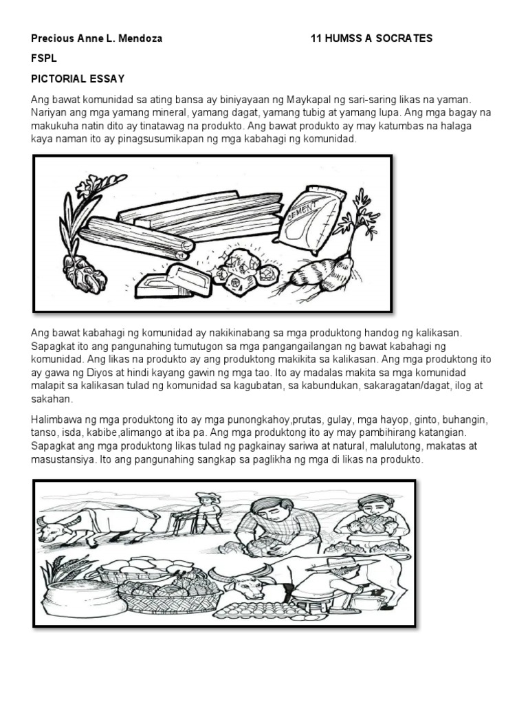 Pictorial Essay | PDF