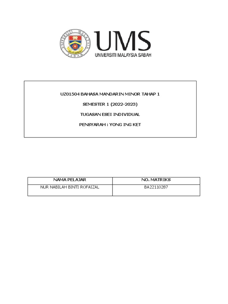 Mandarin Individual | PDF