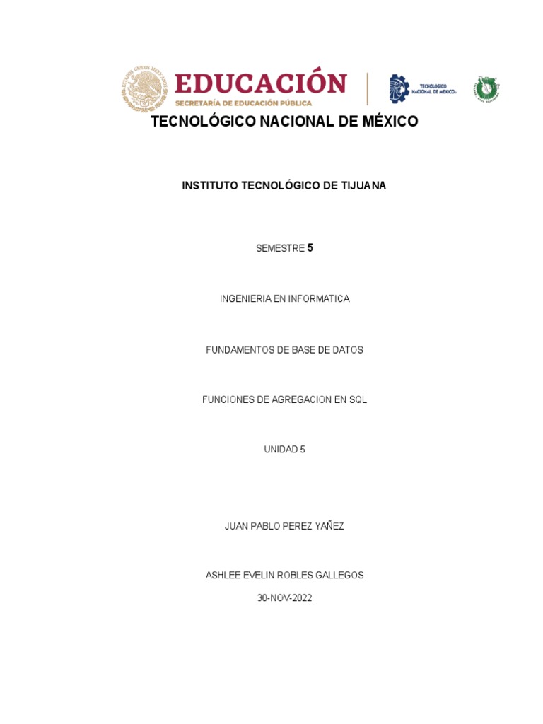 Funciones de Agregacion SQL | PDF