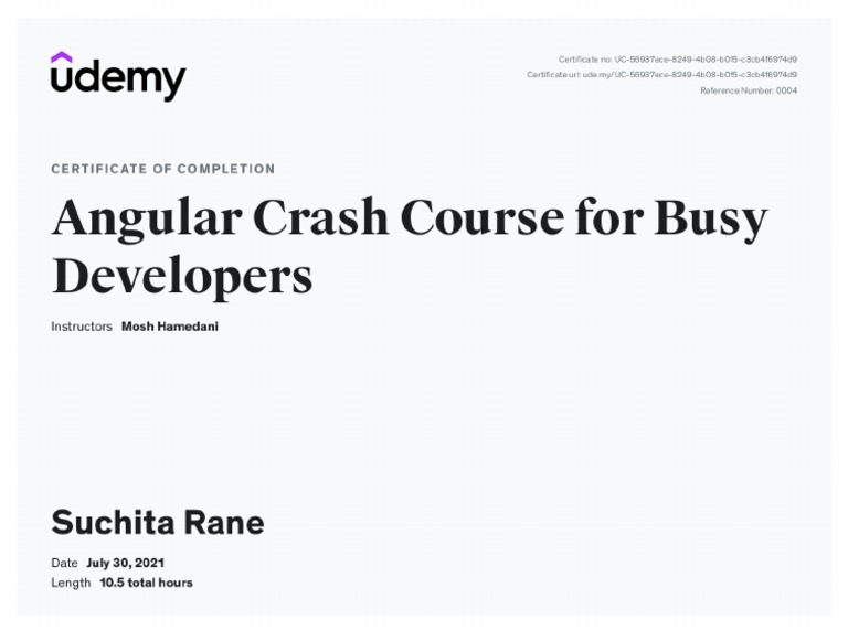 Angular Crash Course For Busy Developers | PDF