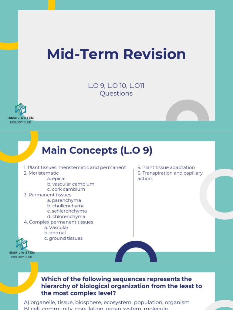 G10 Mid-Term Revision | PDF | Cellular Respiration | Photosynthesis
