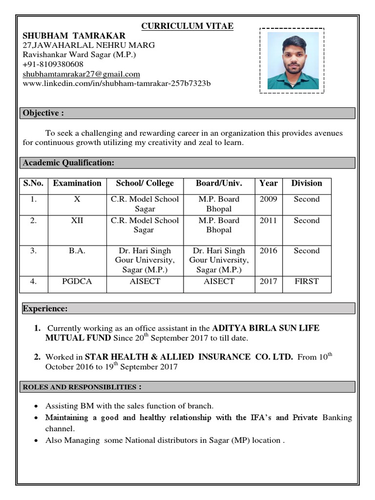 Shubham Tamrakar Resume | PDF