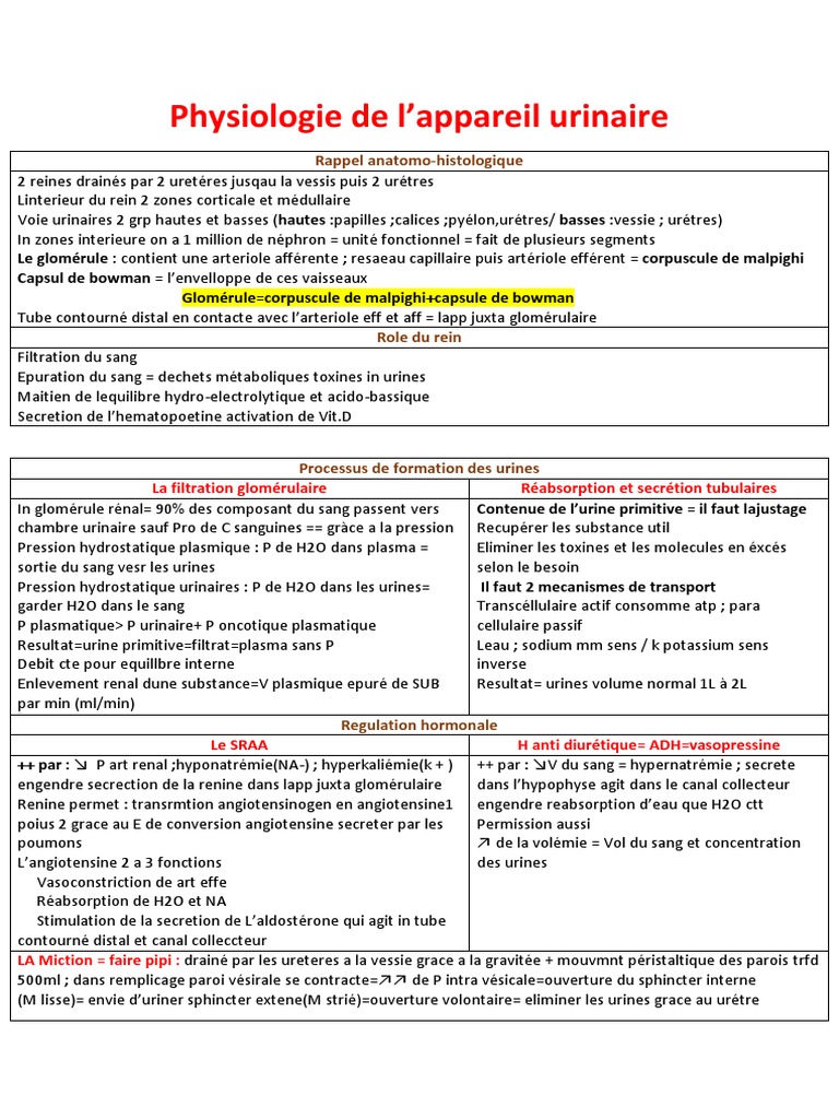 Appareil Urinaire | PDF