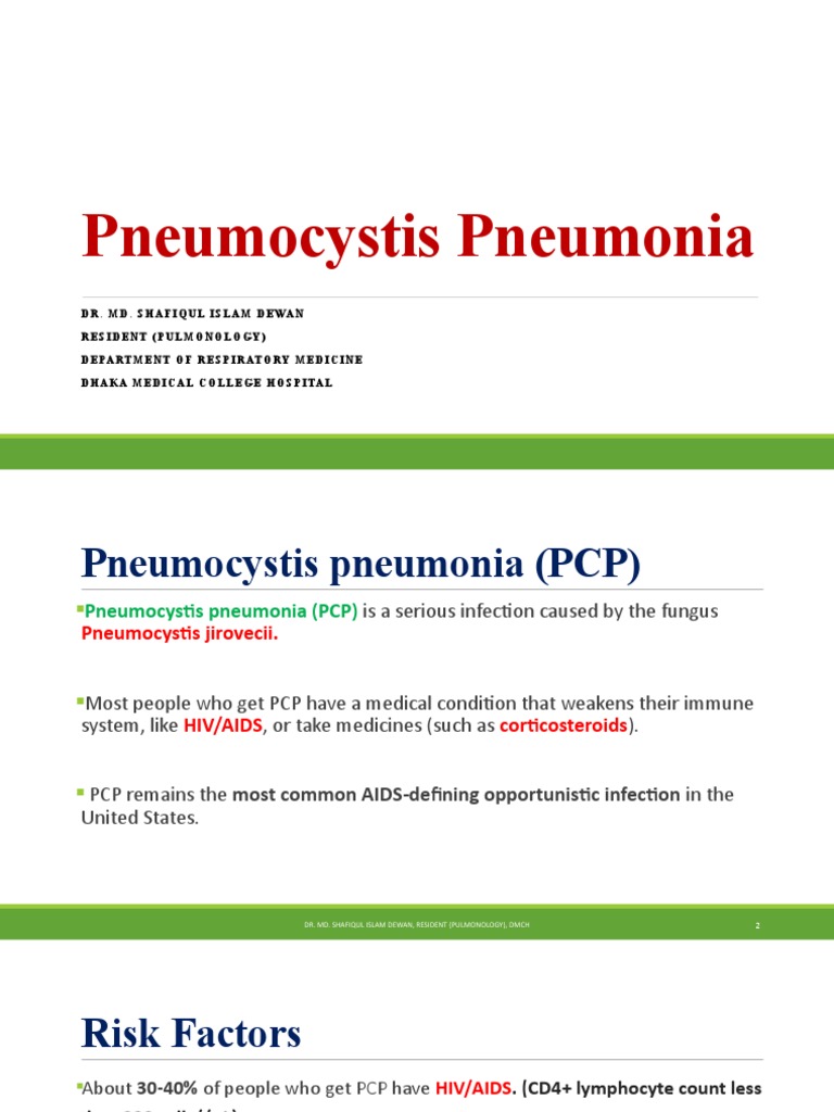 Pneumocystis Pneumonia | PDF | Pneumonia | Immunology