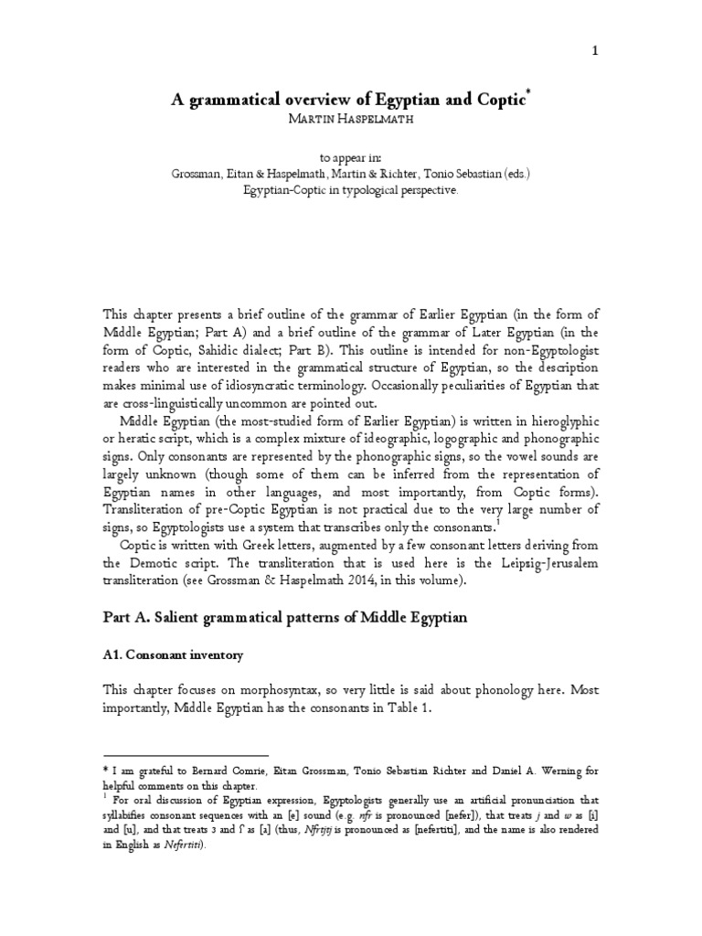 A Grammatical Overview of Egyptian and C | PDF | Grammatical Gender | Verb
