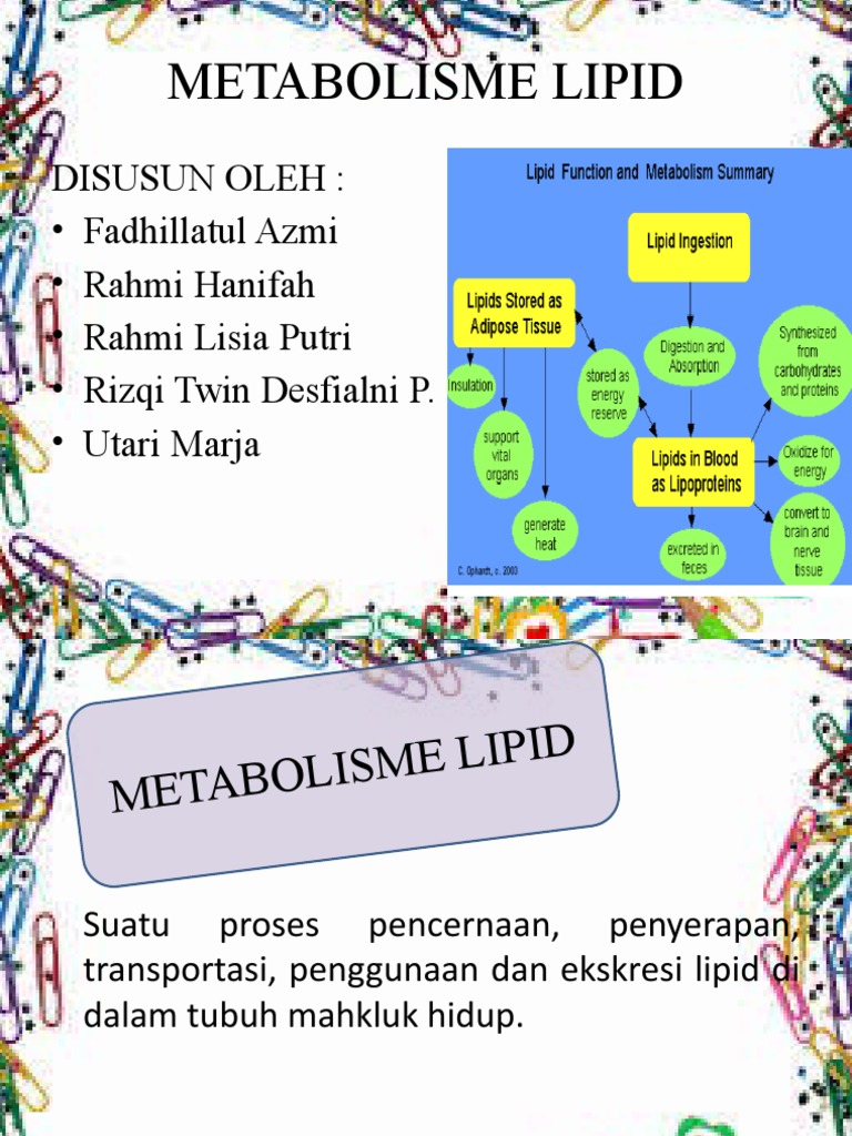 Biokimia Metabolisme Lipid | PDF | Kesehatan Holistik