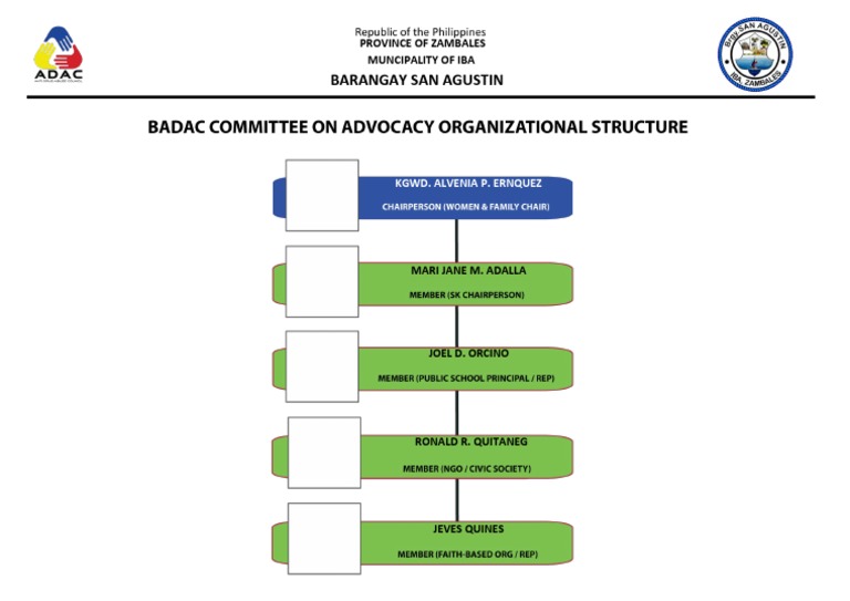 BADAC TEMPLATE - Committee On Advocacy Organizational Structure | PDF