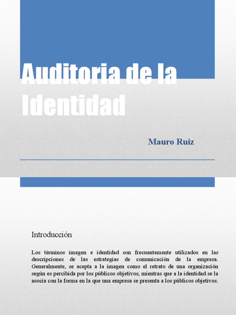 Auditoria de La Identidad | PDF | Subsidiario | Motivación
