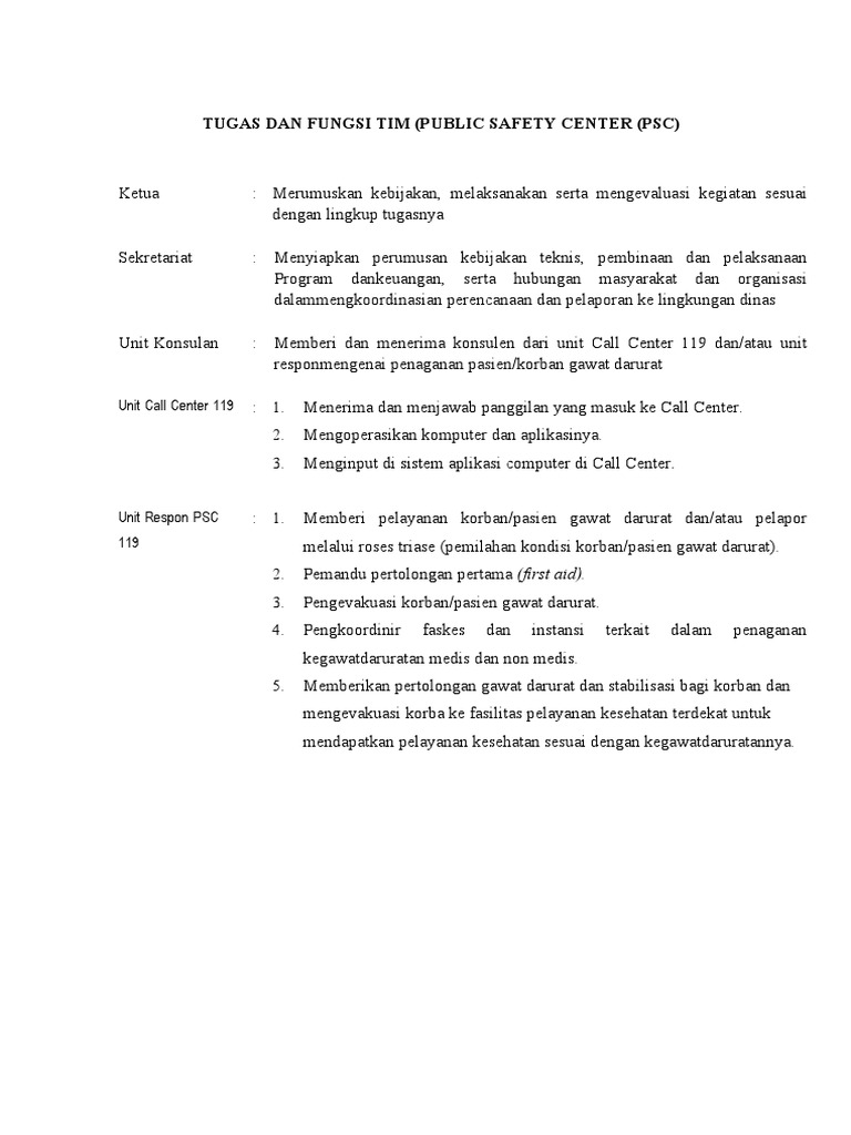 Tugas Dan Fungsi Tim | PDF