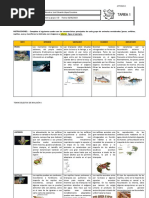 Triptico Los Anfibios | PDF | Anfibio | Zoología