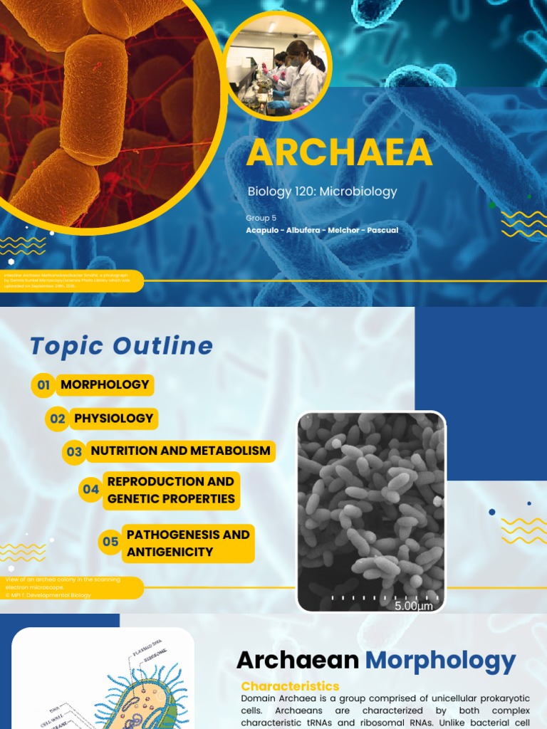 Archaea | PDF
