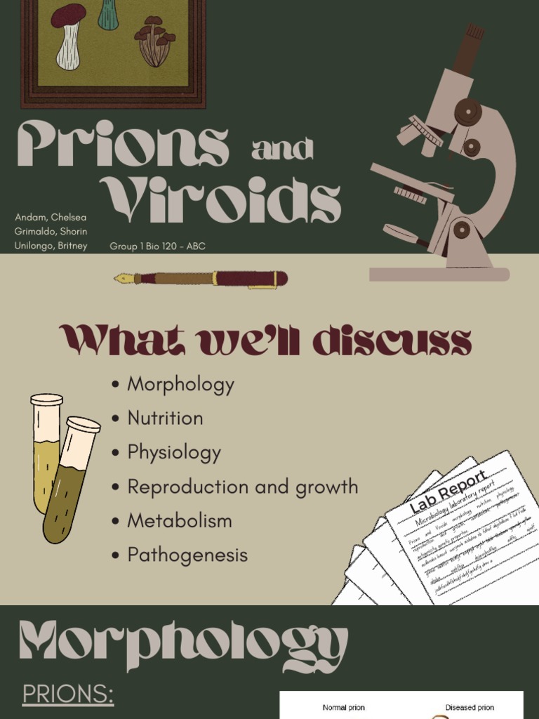 Prions and Viroids: Key Characteristics | PDF